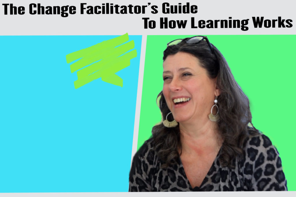 e-course: The Change Facilitator’s Guide to How Learning Works | 91 Untold